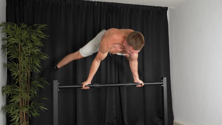 8 Best Static Bars Review 2026: The Best Bars for Calisthenics Statics ...