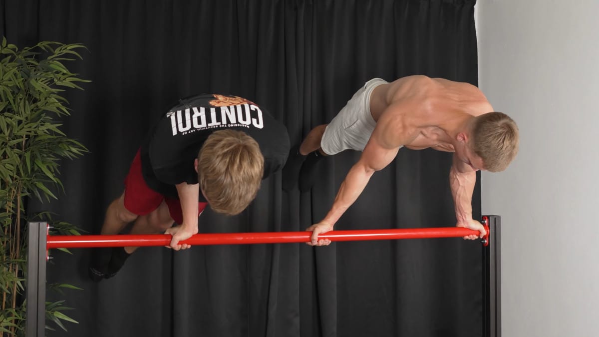 8 Best Static Bars Review 2026: The Best Bars for Calisthenics Statics ...